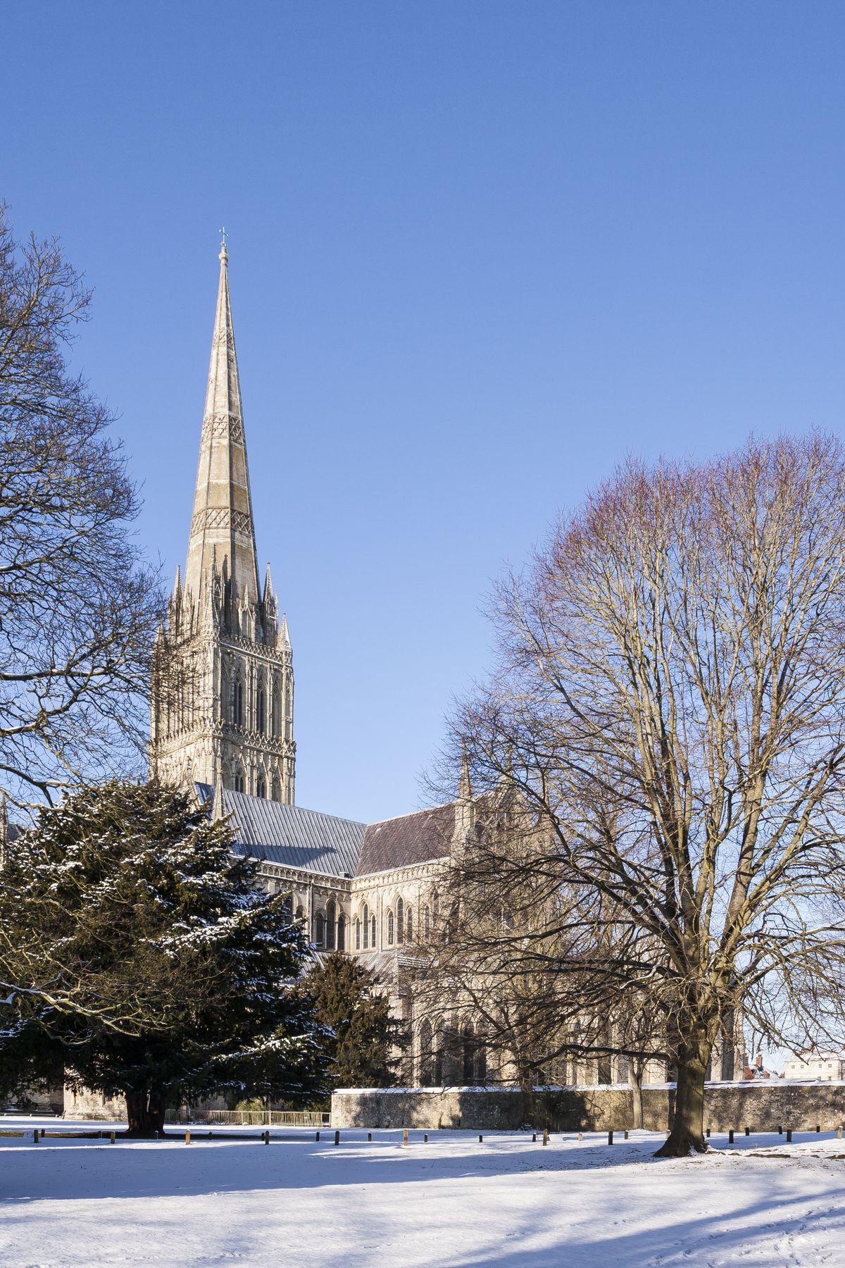 Christmas in Salisbury - Brightwater