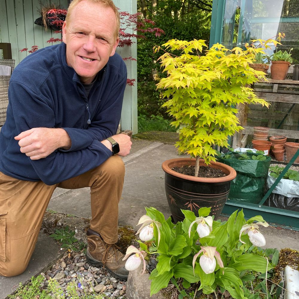 Brian Cunningham - Brightwater