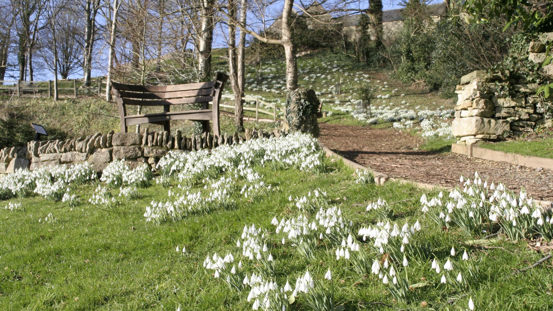 England: Snowdrop Gardens of the Cotswolds - Brightwater