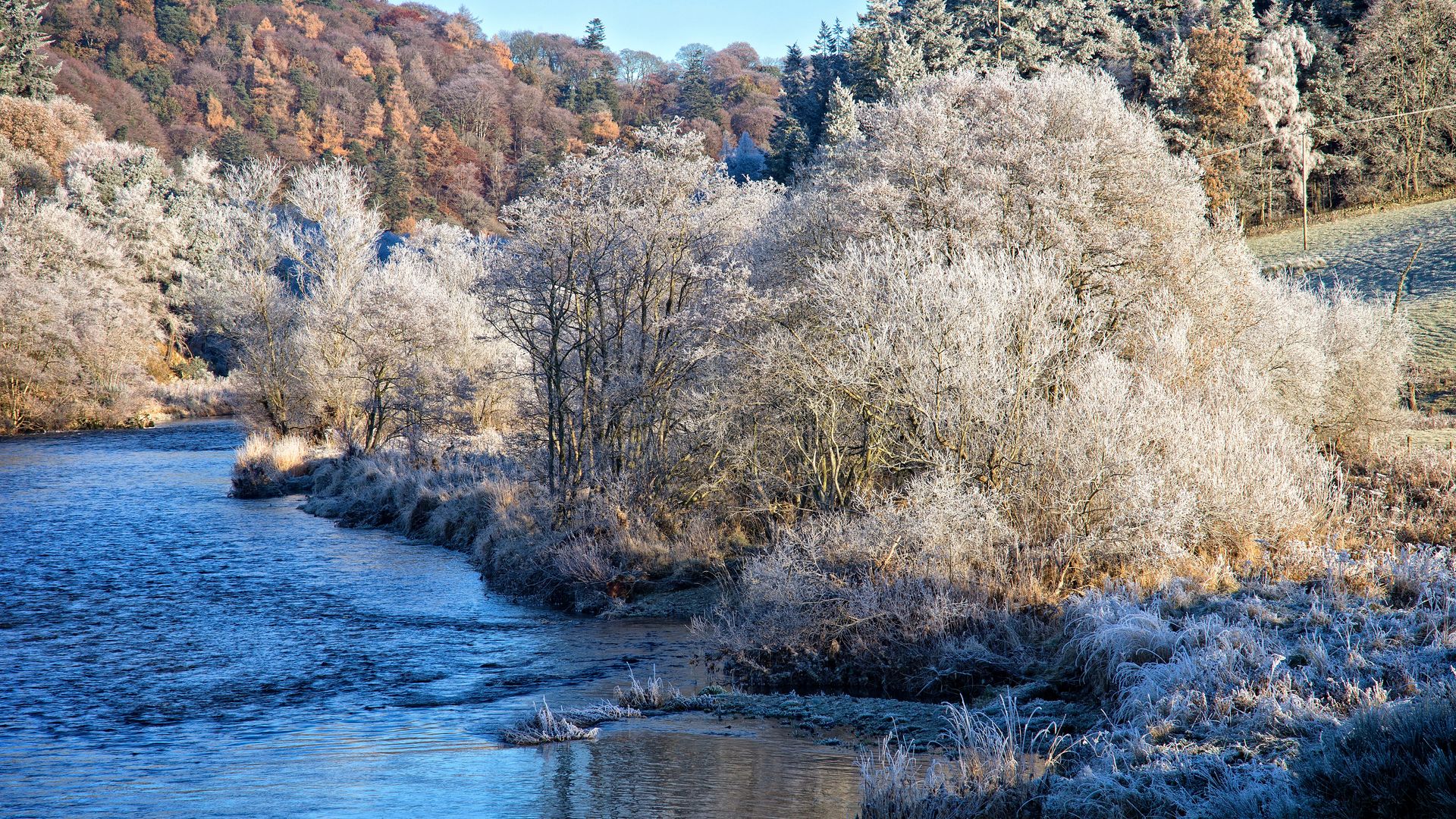 Christmas in the Scottish Borders - Brightwater